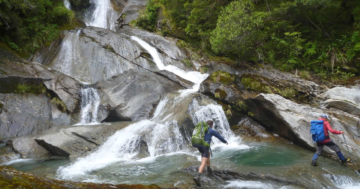 Wānaka: Private Rob Roy Glacier Guided Hike Lunch | GetYourGuide