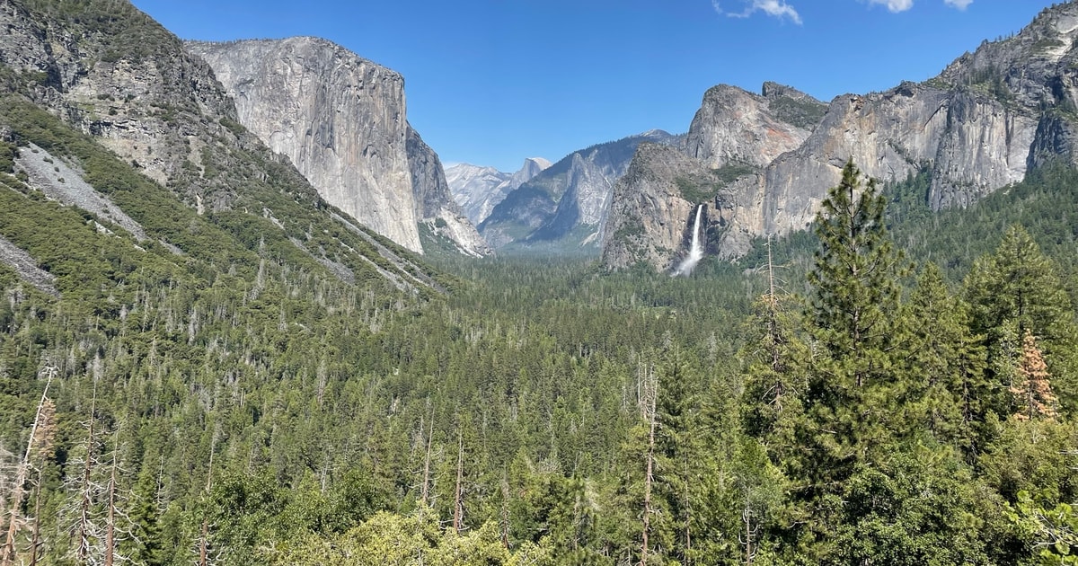 Yosemite, Giant Sequoias, Private Tour from San Francisco | GetYourGuide