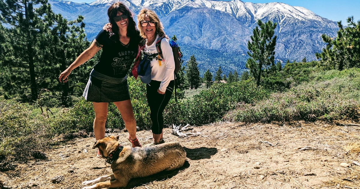 Big Bear: Family-Friendly Nature Walk w Hot Chocolate | GetYourGuide