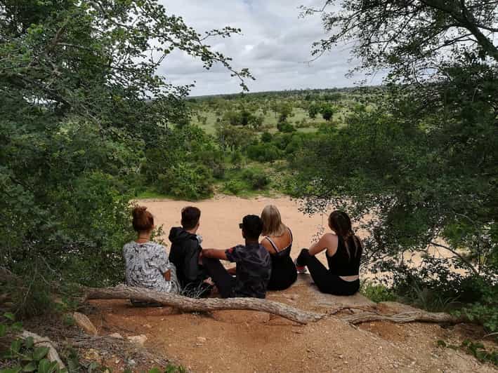 Kruger National Park - 4 Day Safari Tour | GetYourGuide