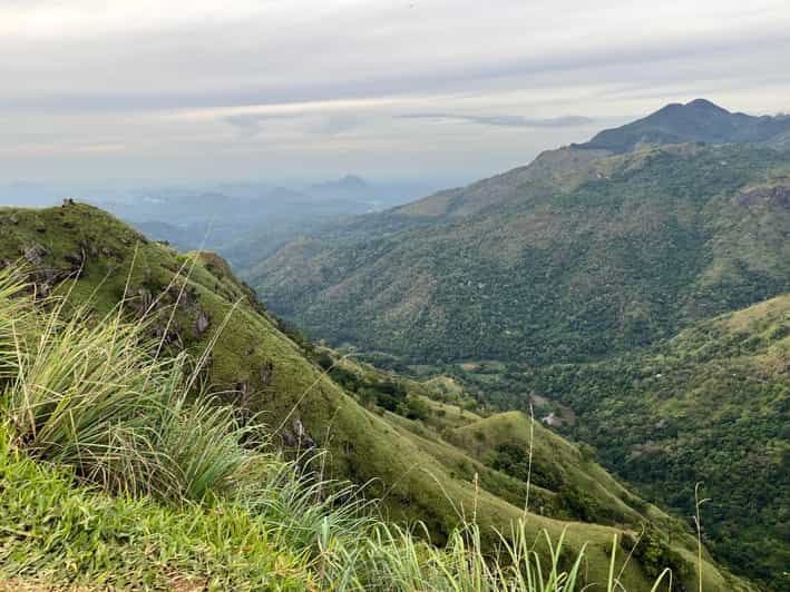 Ella Day Tour From Kandy | GetYourGuide