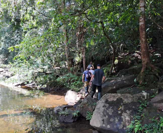 Sinharaja Rainforest Tour | GetYourGuide