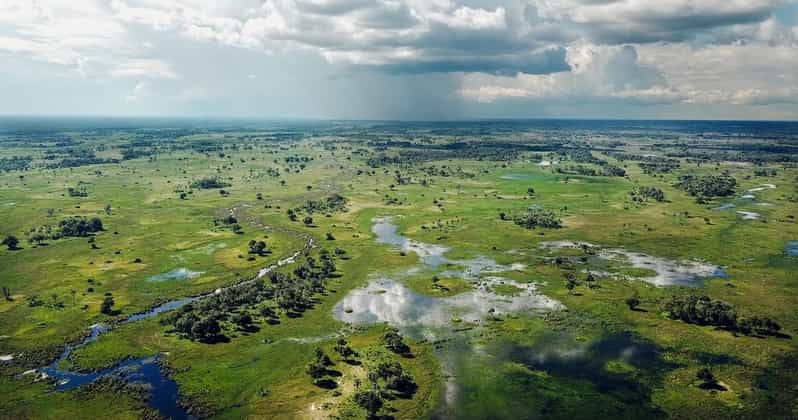 Excursion d'une journée dans la réserve de Moremi, guidée par un guide ...