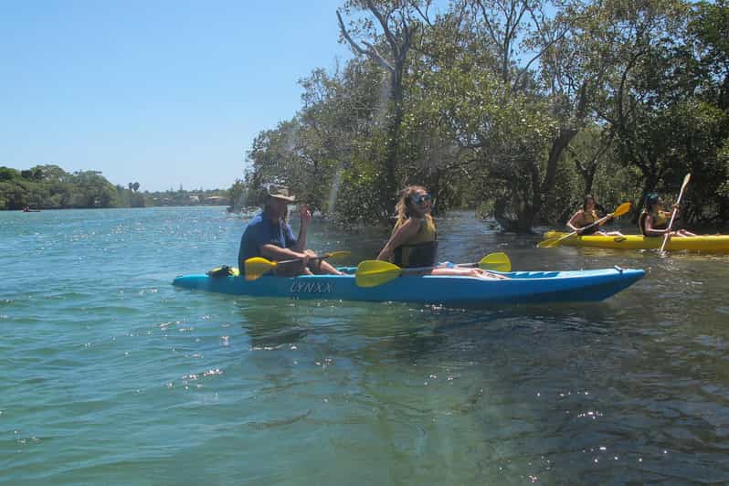 Brunswick Heads: Brunswick River Sunset Kayak Tour | GetYourGuide