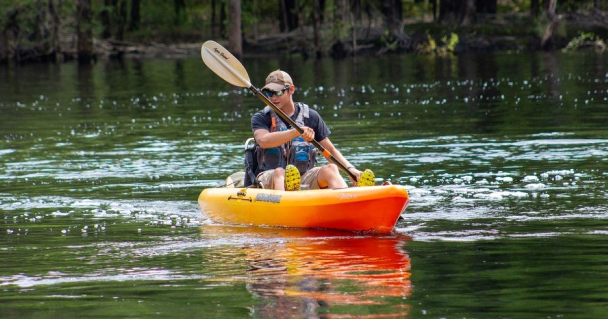 Myrtle Beach: Tour dell'isola in kayak sul fiume Waccamaw | GetYourGuide