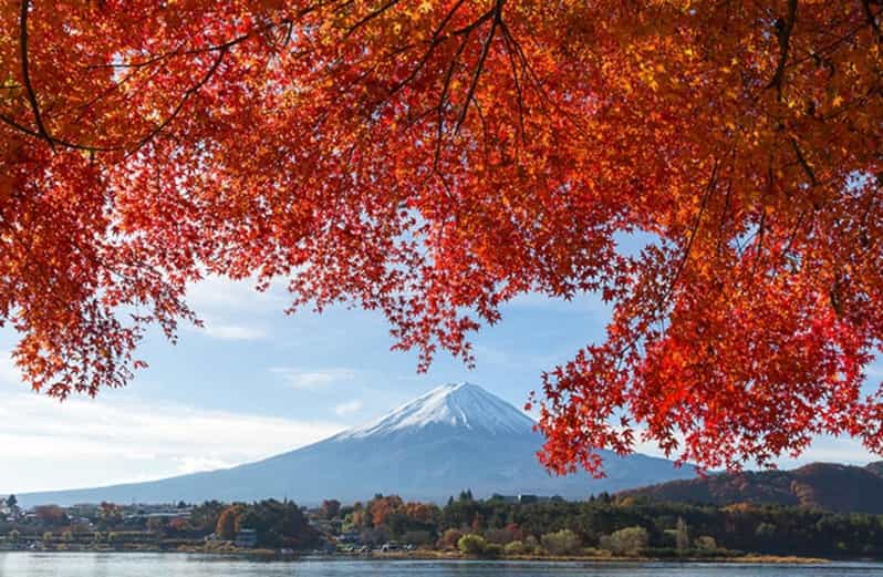 Excursão de um dia ao Monte Fuji, onde podes comer tudo o que quiseres, Muscat e Fujisan 5 Gome ...