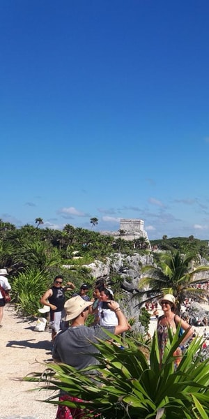 Tulum: Snorkeling in Open and Cave Cenotes with Ruins Tour | GetYourGuide