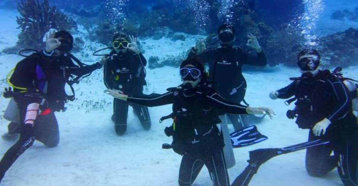 Tulum: Try Scuba Diving Adventure | Canote + Reef in Tulum | GetYourGuide