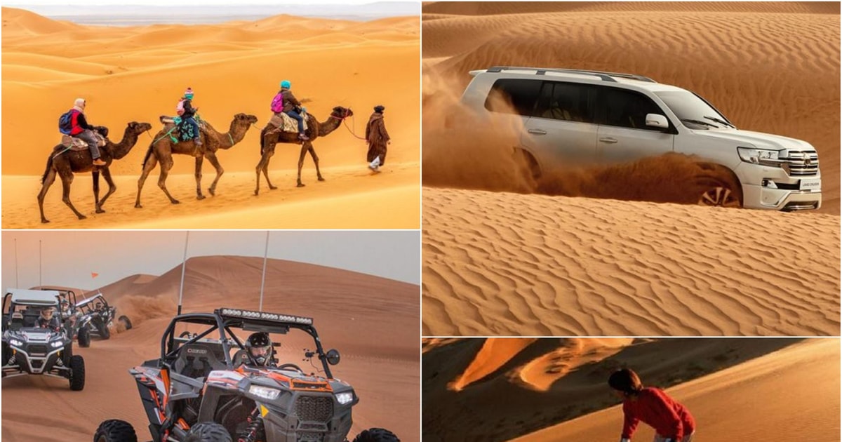 Explore desert Qatar: Off-Road Adventures, dune bashing Tour | GetYourGuide