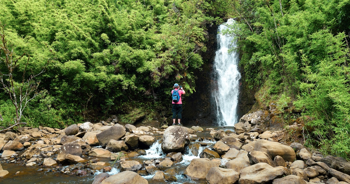 Maui: Waterfall & Rainforest Hiking Tour with Picnic Lunch | GetYourGuide