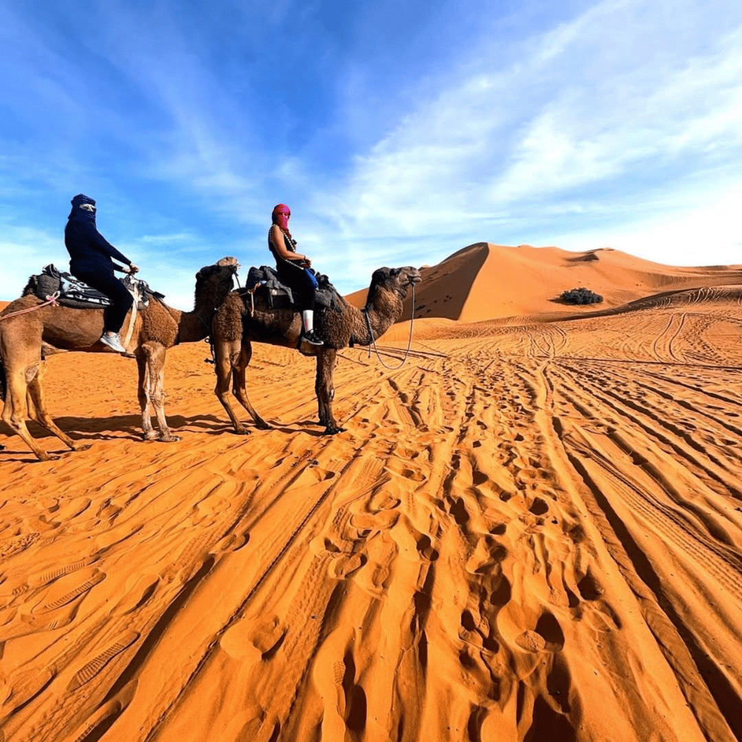 Da Marrakech: tour di 3 giorni nel deserto con giro in cammello e ...