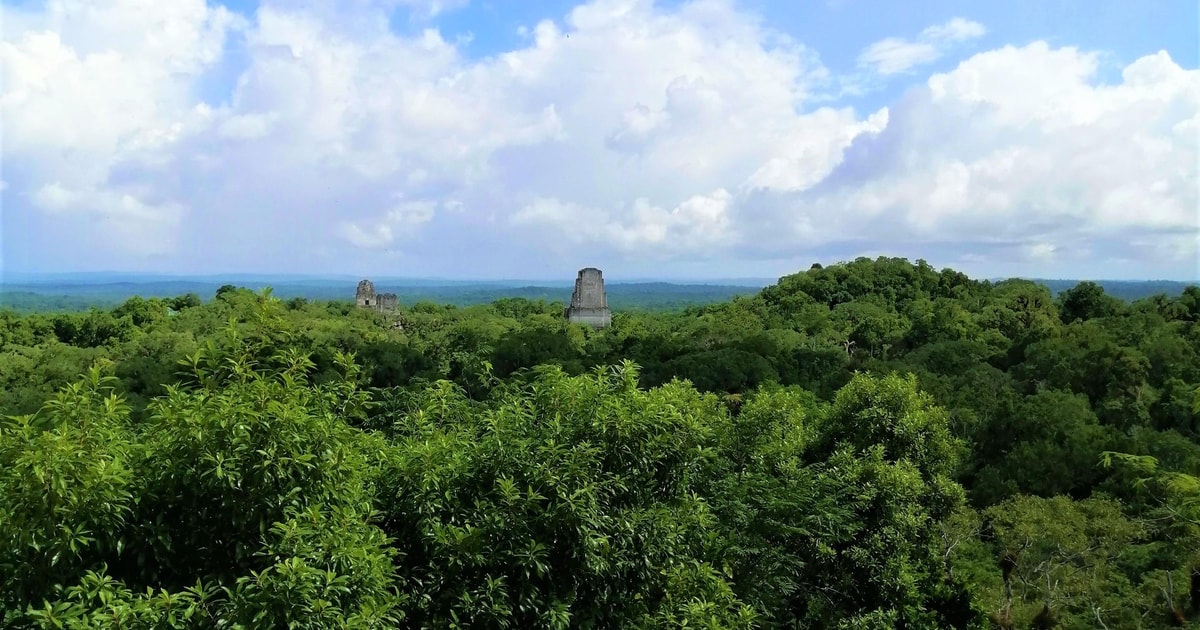 Tikal sunset tour private service | GetYourGuide