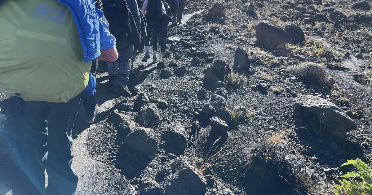 Climbing Mt.Kilimanjaro Via Rongai 7 Days | GetYourGuide