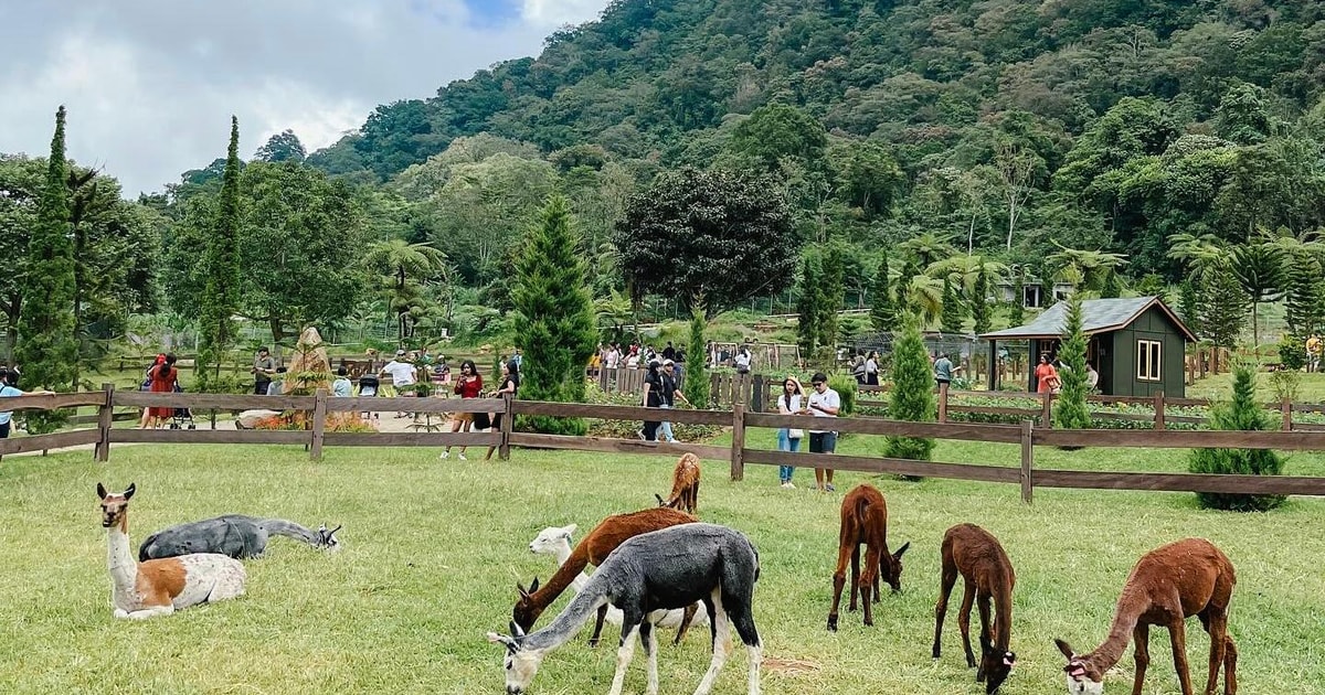 North Bali Family Tour: Bali Farm, Ulun Danu, Choco Factory | GetYourGuide