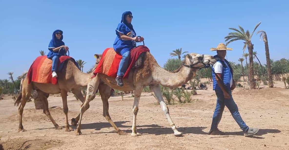 From Marrakech : Safari Camel ride in the palm grove | GetYourGuide
