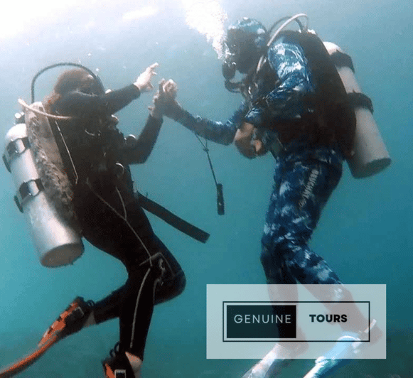 Moalboal: Scuba Diving with the Sardine and Sea Turtles | GetYourGuide