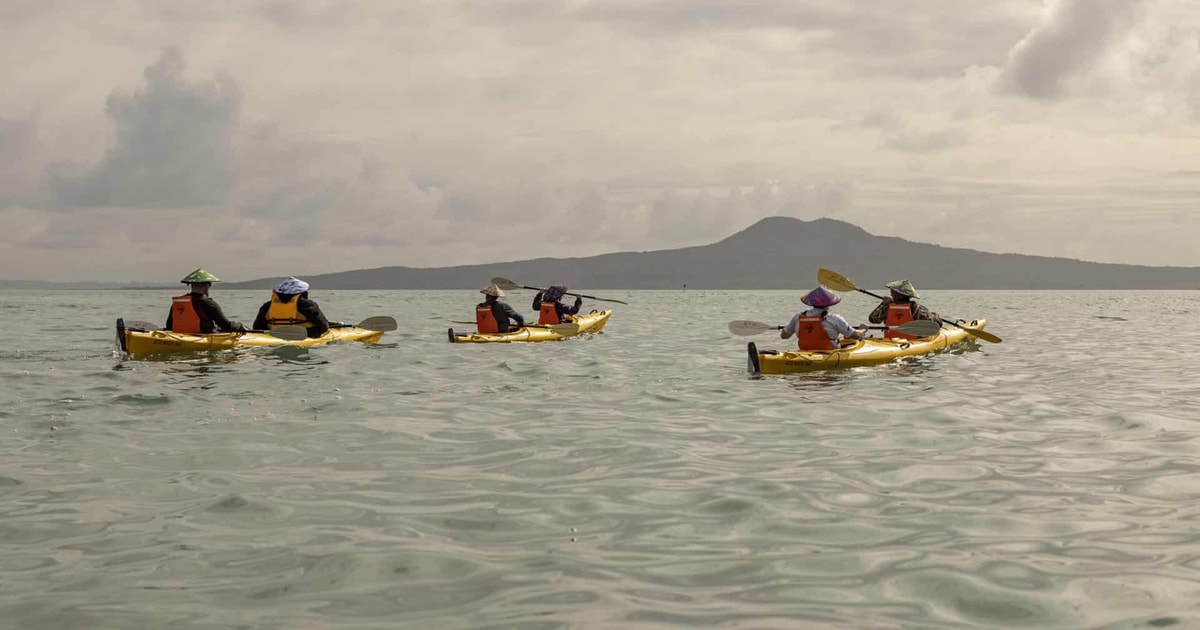 Auckland Excursión en Kayak de Mar por la Isla de Waiheke | GetYourGuide