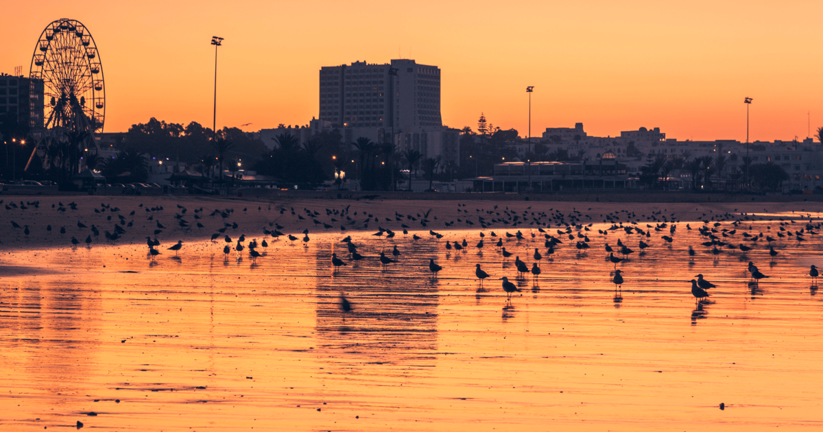 Marrakech to Agadir: Unforgettable Full-Day Adventure | GetYourGuide