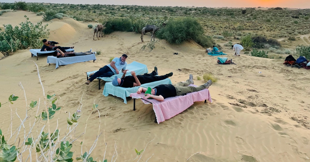 Tokyo Desert Safari Overnight Thar Desert Experience | GetYourGuide