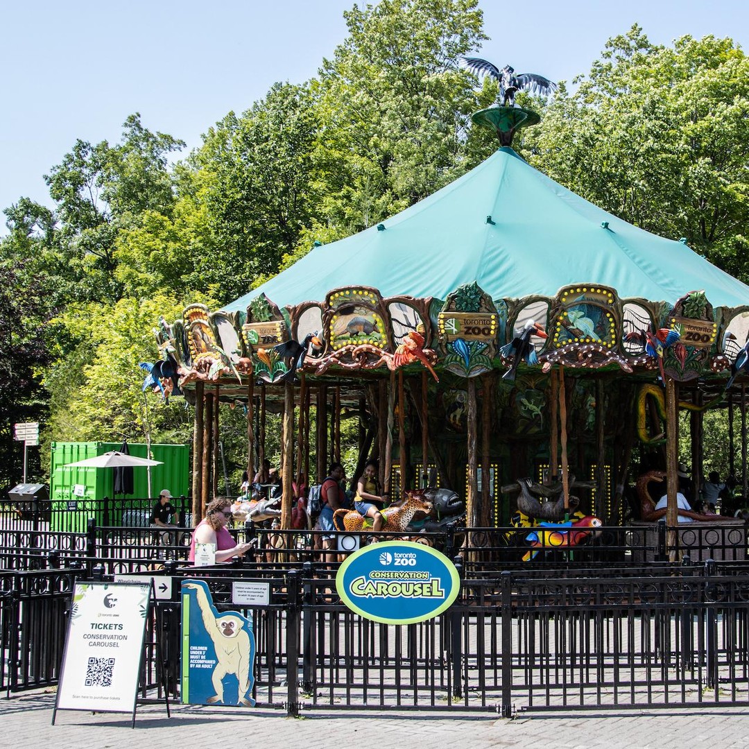 Toronto: Toronto Zoo Entry Ticket | GetYourGuide