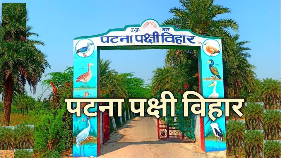 Agra Full day Tour With Patna Bird Century Overnight | GetYourGuide