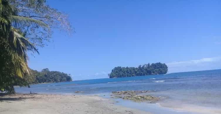 Manzanillo: Delfinbeobachtung und Punta Mona Strand | GetYourGuide