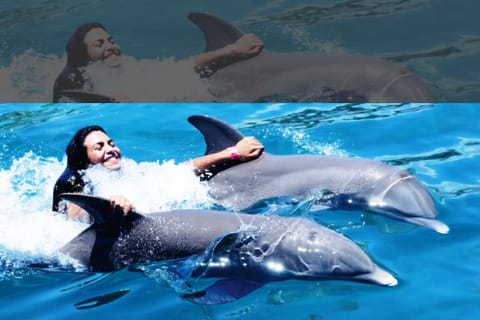 Ocean World Adventure Park, Puerto Plata - Book Tickets & Tours ...