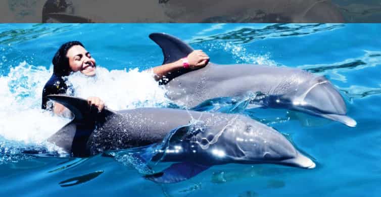Ocean World Adventure Park, Puerto Plata - Book Tickets & Tours ...