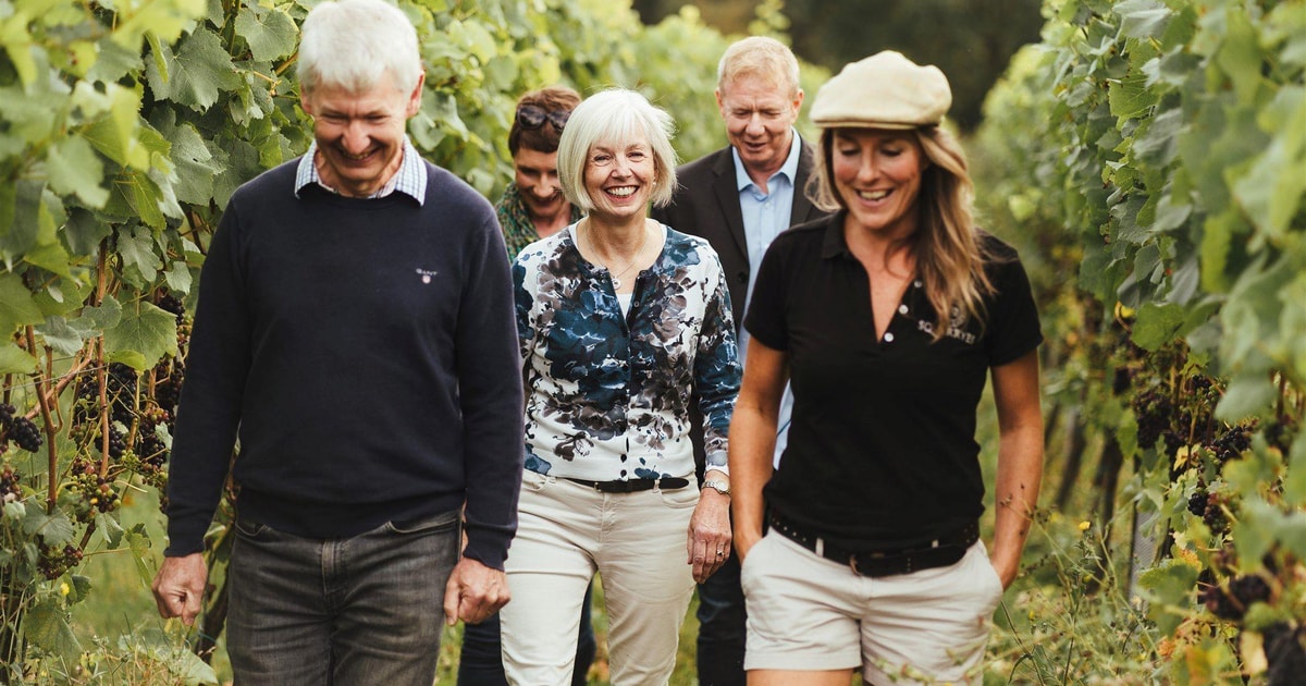 Kent: Squerryes Wine Tour and Tasting | GetYourGuide