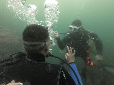 Lima: PADI Open Water Diver- Diving Course | GetYourGuide