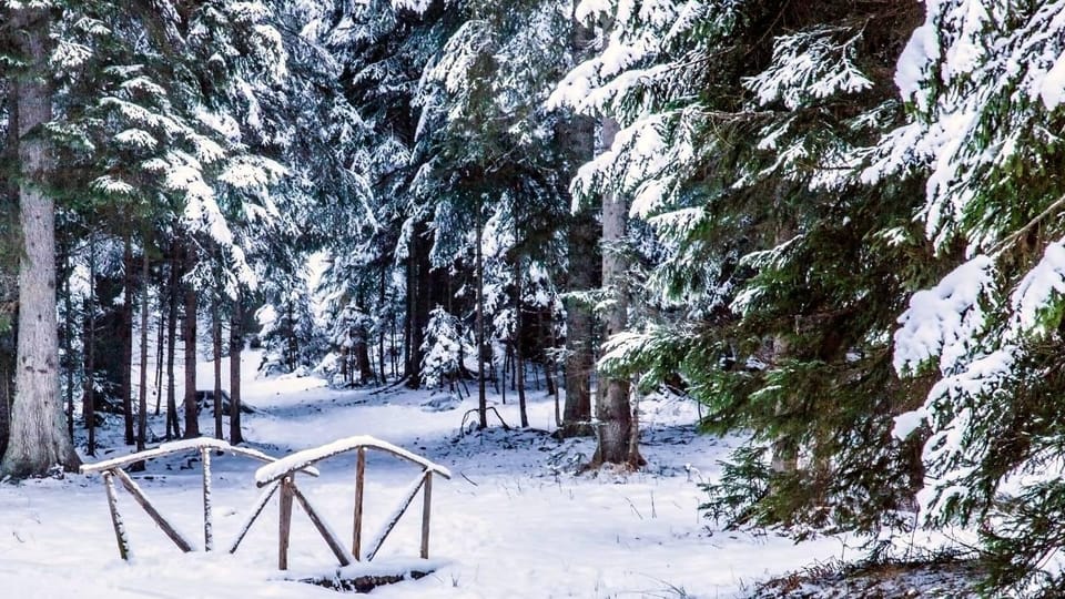 Bijambare Cave & Bosnia Spring Park: Tour from Sarajevo | GetYourGuide