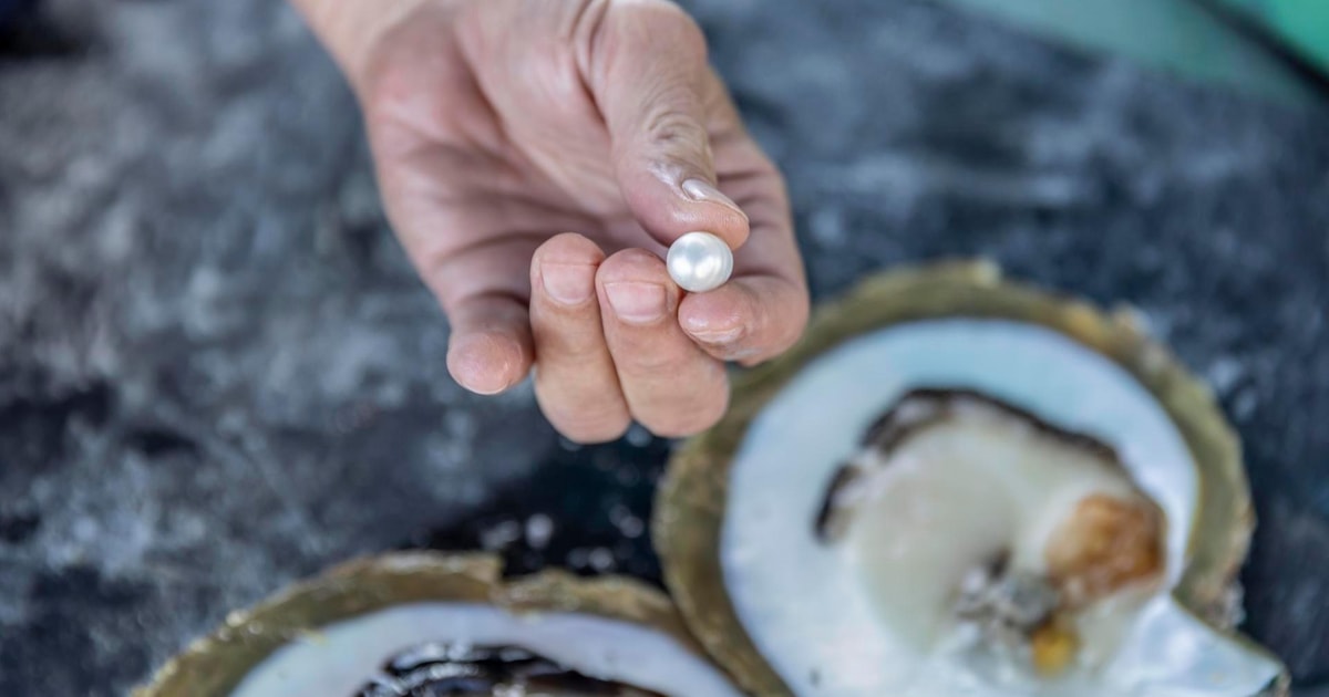 Broome: Paspaley Pearl Farm Afternoon Tour with Transfers | GetYourGuide