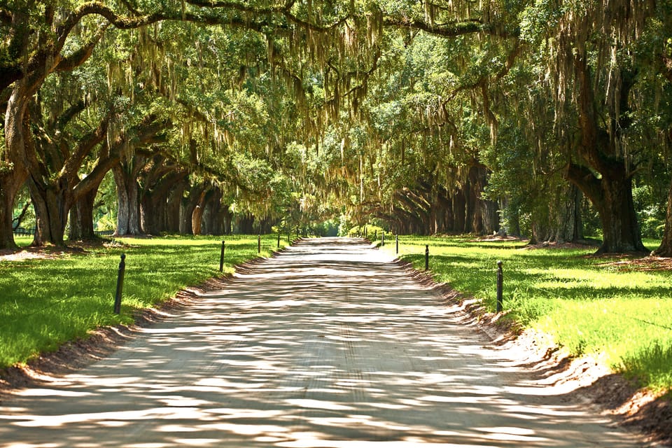 New Orleans: Single Plantation and Pontoon Swamp Day Trip | GetYourGuide