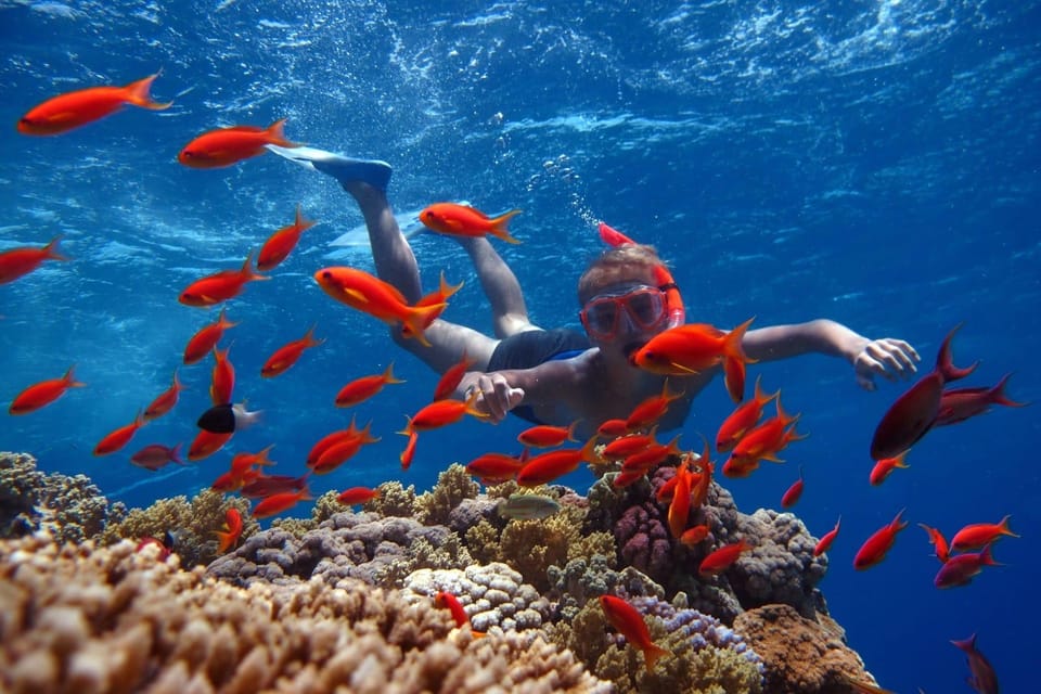 Hurghada: Excursión de Introducción al Buceo y el Snorkel con Comida y ...