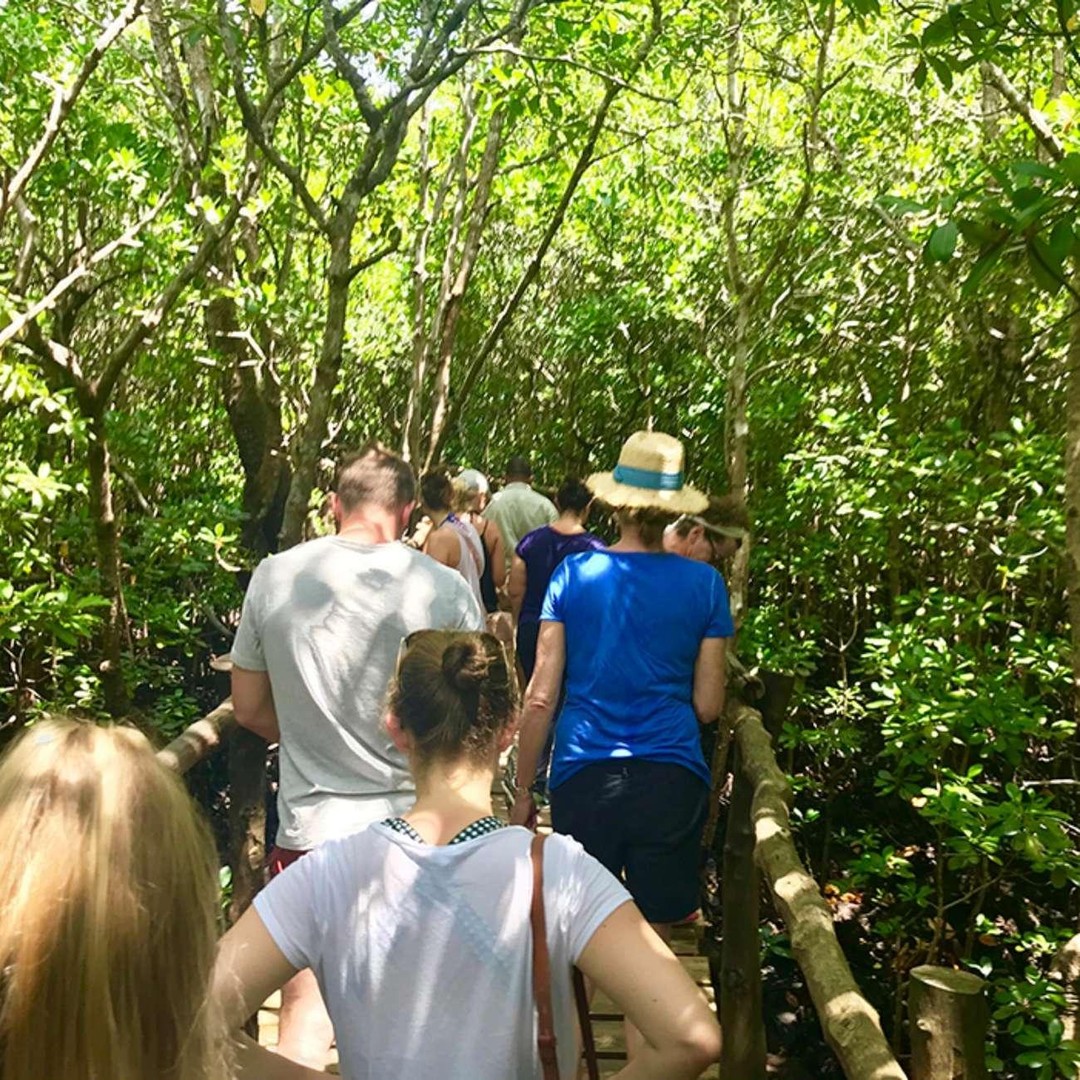 Zanzibar: Jozani Forest, Kuza Cave, Paje Beach & The Rock | GetYourGuide