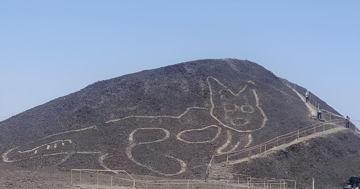 Nazca: Muzeum Marii Reiche i wycieczka do punktu widokowego Nazca Lines ...