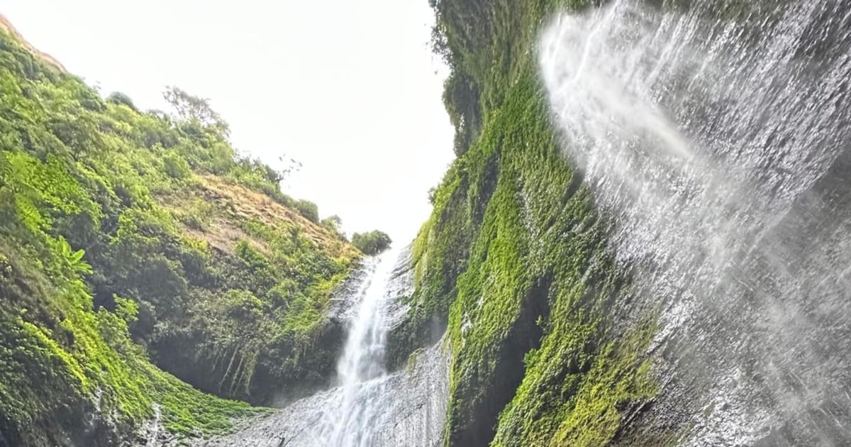 Madakaripura Waterfall, Bromo Sunrise & Ijen Crater (3D/2N) | GetYourGuide
