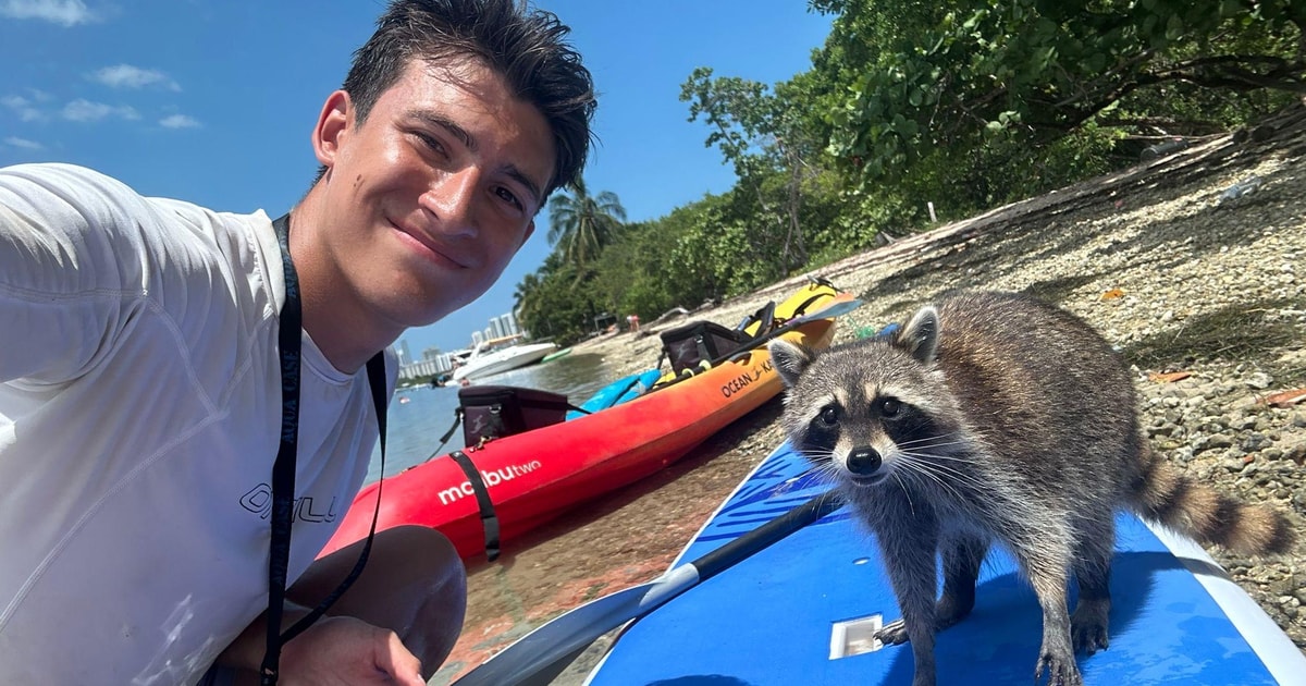 Isla Mapache: Exploración en SUP/Kayak | GetYourGuide