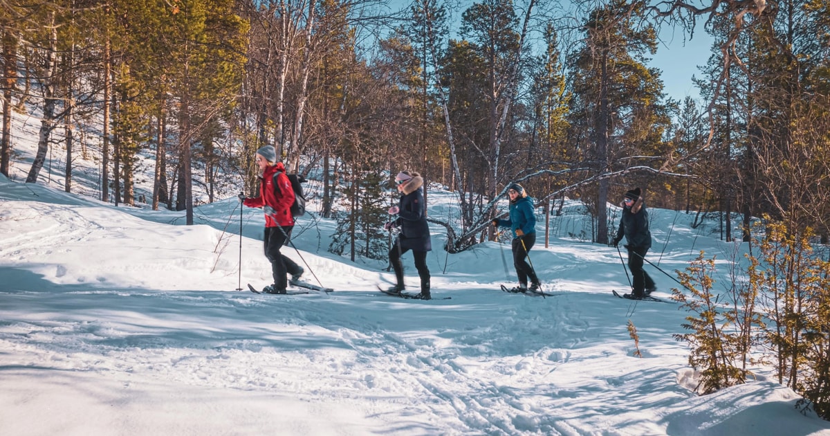 Snowshoeing Adventure to the Enchanting Frozen Waterfall | GetYourGuide