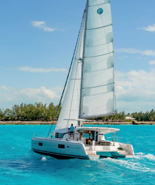 4H Fun & Swim Catamaran Tour | GetYourGuide
