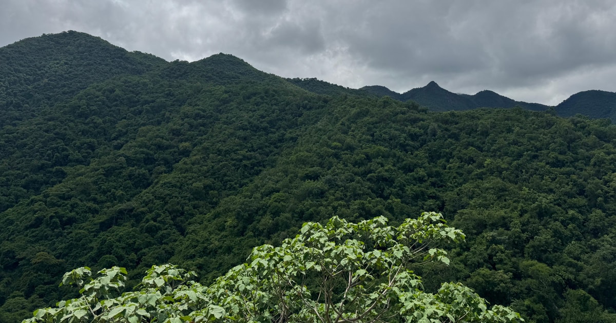 Addis Ababa: Menagesha Suba Forest Day Trip with Guide | GetYourGuide