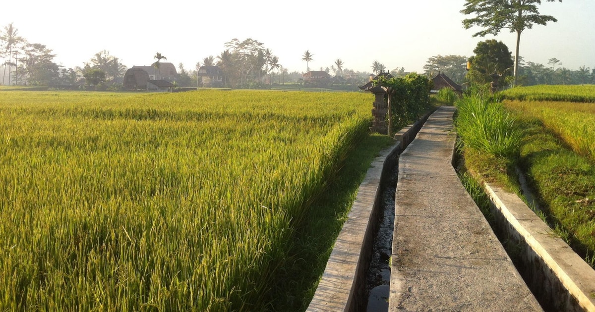 Bali: Customizable Tour with Local Guide | GetYourGuide