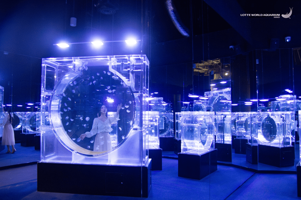 Hanoi: Lotte World Aquarium | GetYourGuide Hanoi: Lotte World Aquarium | GetYourGuide
