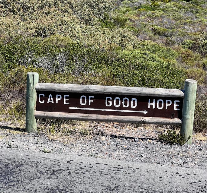 Cape of Good Hope, Chapman's peak drive, Penguins , Seals | GetYourGuide