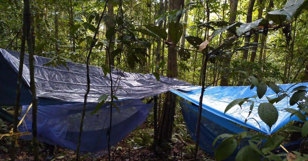 EXPLORE THE AMAZON | GetYourGuide