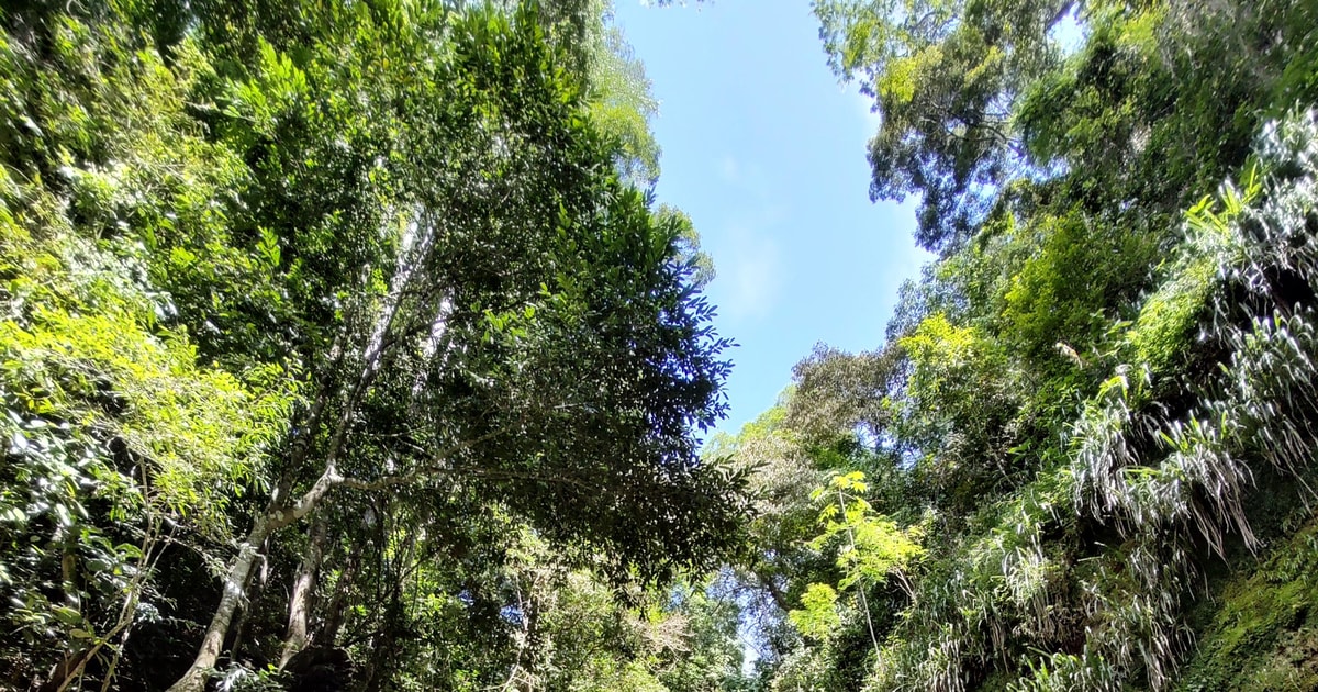 Wasserfall- und Höhlenpfad im Tijuca-Wald | GetYourGuide