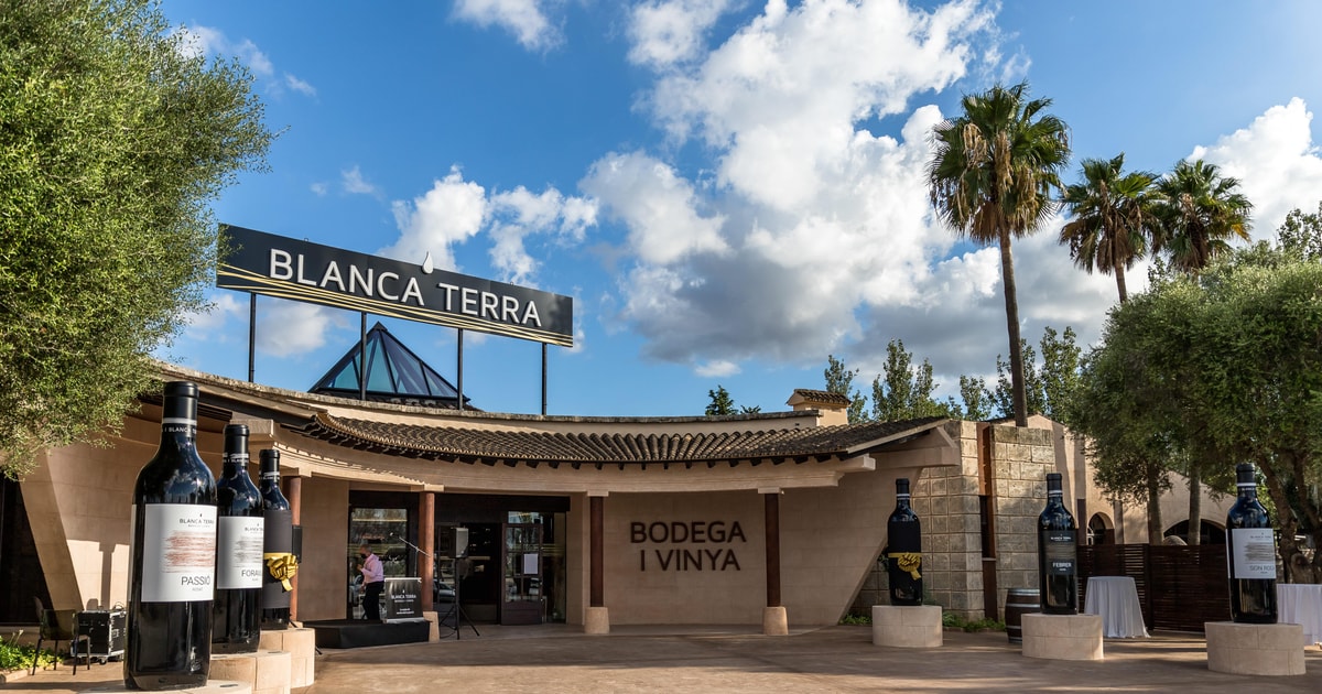 Mallorca: ingresso para a Bodega Blanca Terra - degustação de vinhos ...