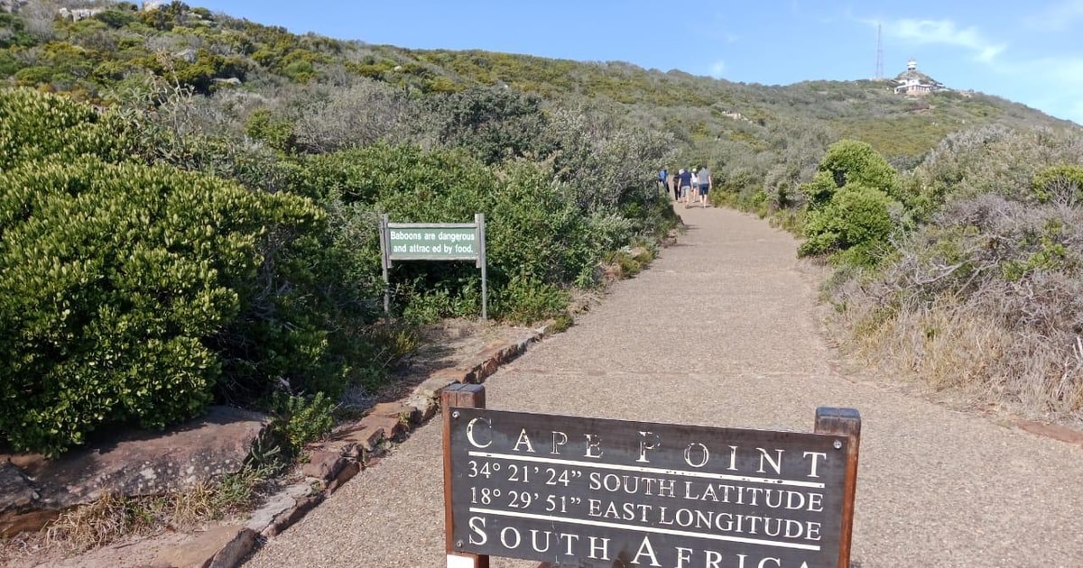 Kapstadt: Private Ganztagestour Pinguin & Kap der Guten Hoffnung Tour | GetYourGuide