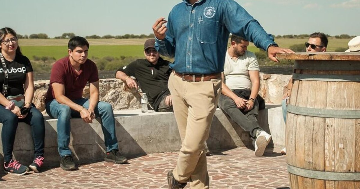 San Miguel de Allende: Enologist for One Day Workshop | GetYourGuide