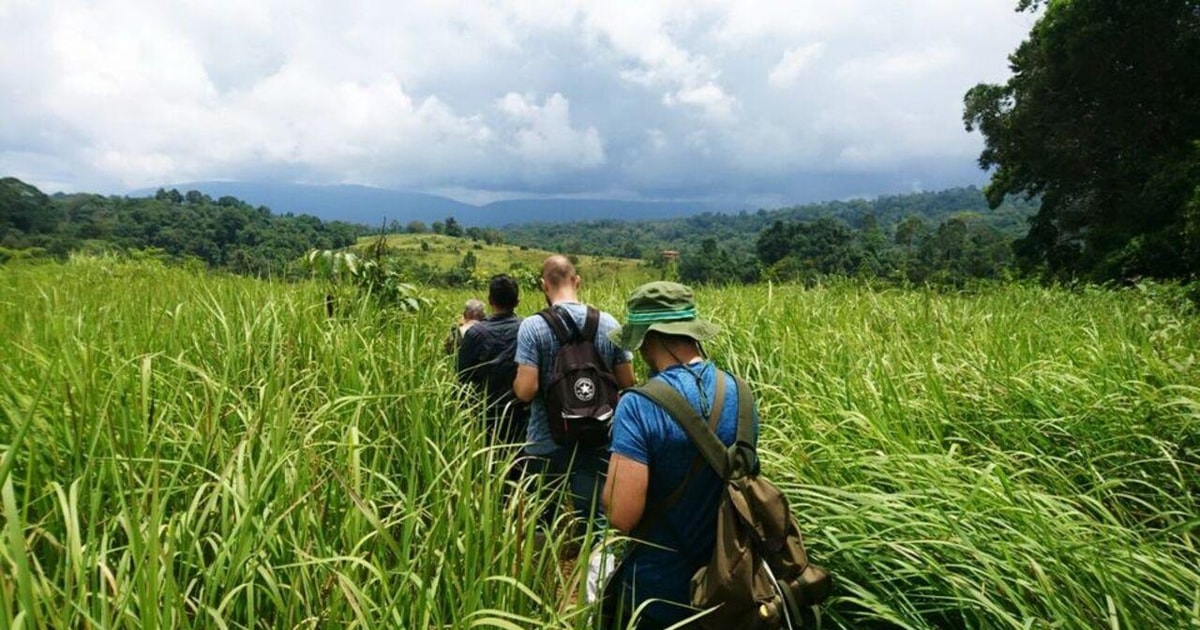 Bangkok: Khao Yai Nature Trails & Heaw Suwat Waterfall | GetYourGuide